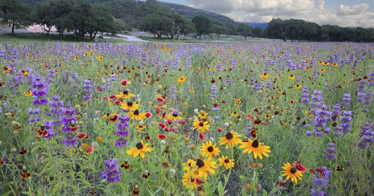 David Rockey – Osceola-Sentinel Tribune