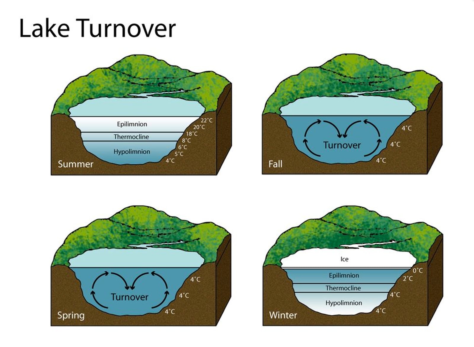Osceola Water Works Addresses Water Quality and Lake Turnover – Osceola ...