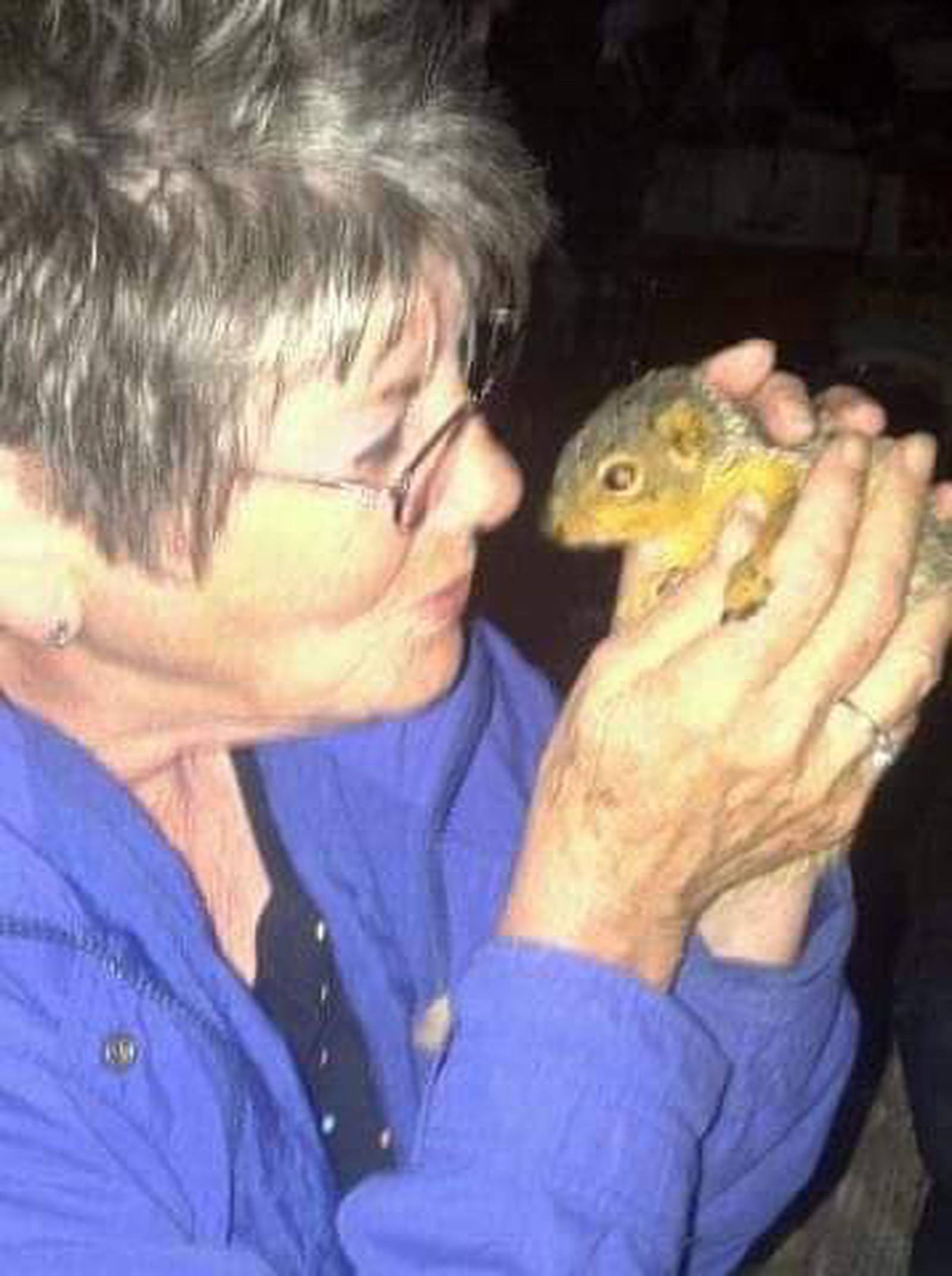 Vicky Parmer – Osceola-Sentinel Tribune